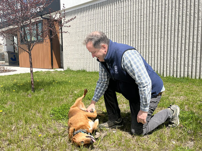 Cavitt weighs in on driving, state bird, Open Meetings Act | News ...